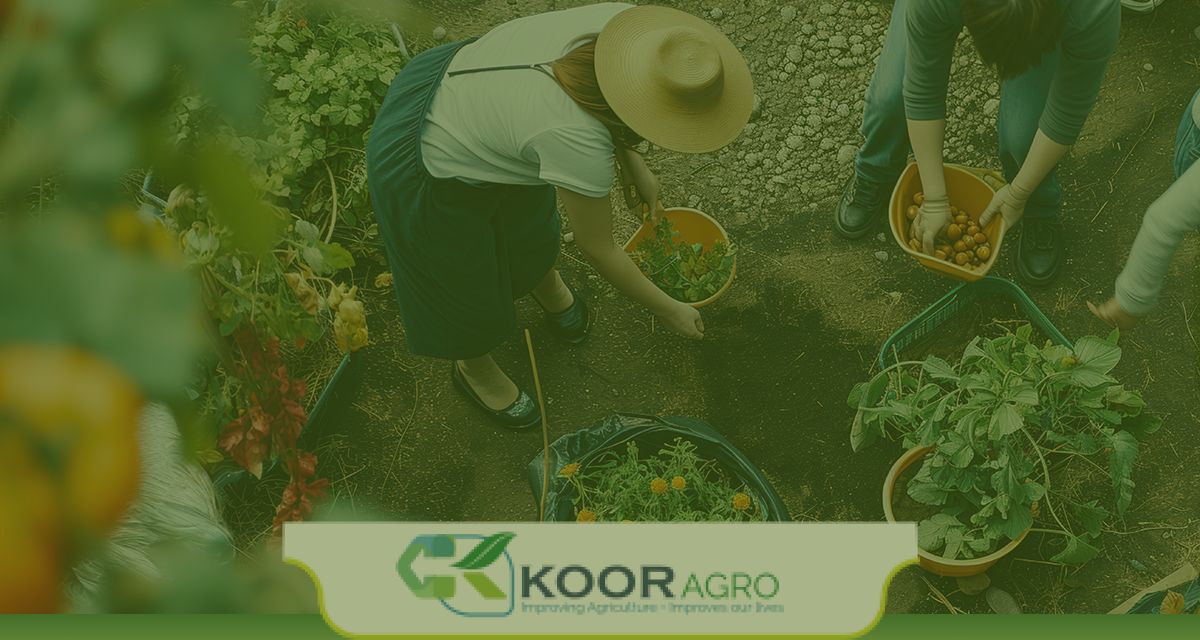 Novedades | Koor Agro